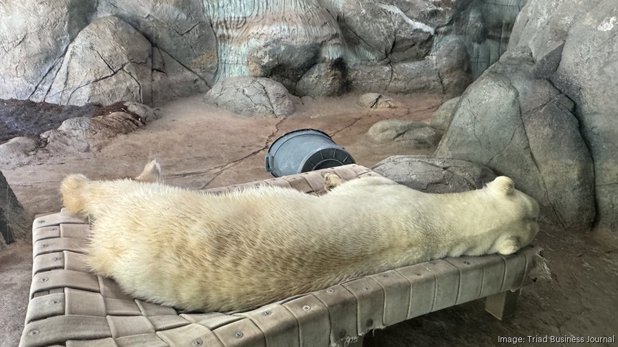 NC Zoo celebrates 50th anniversary, makes progress on $100M Asia ...