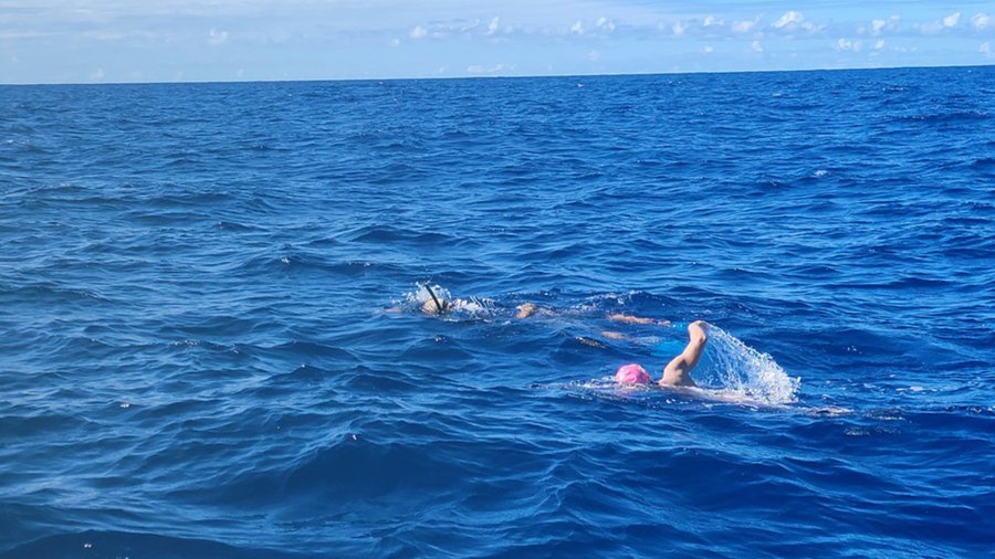 How a local swimmer took on the Ka’iwi Channel 28-mile swimming ...