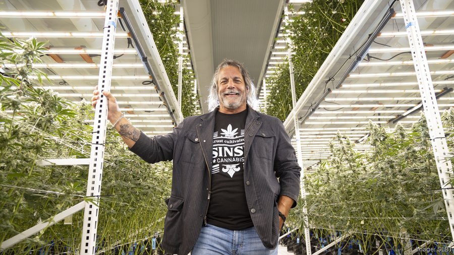 St. Louis Character: Why the cannabis industry is 'the most chaotic ...
