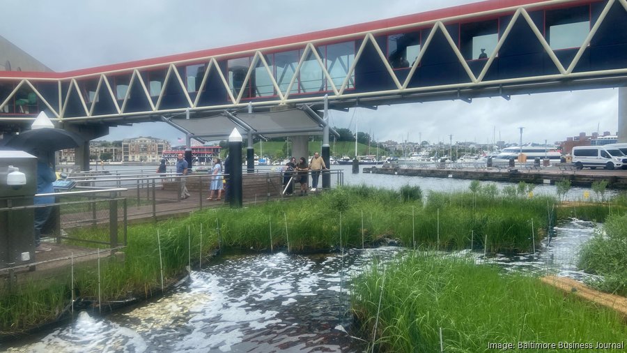 National Aquarium unveils new floating wetland exhibit - Baltimore ...