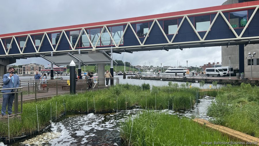 National Aquarium unveils new floating wetland exhibit - Baltimore ...