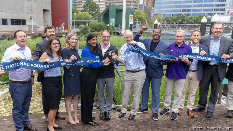National Aquarium unveils new floating wetland exhibit - Baltimore ...