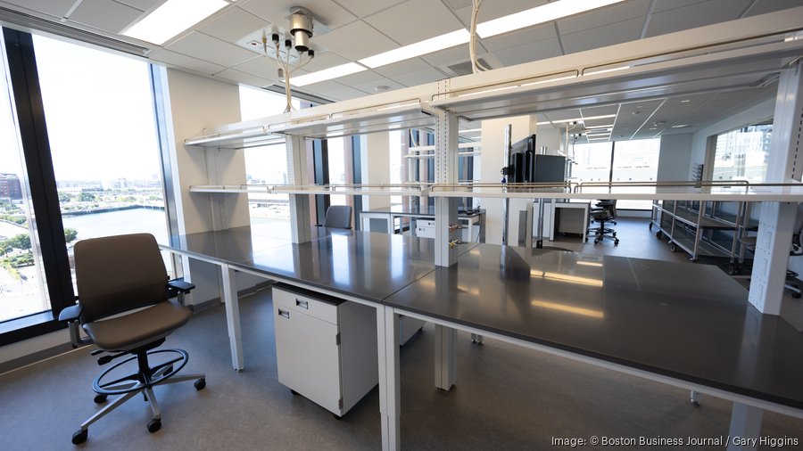 Lilly invests in Boston biotech for $1.3B obesity drug deal - Boston ...