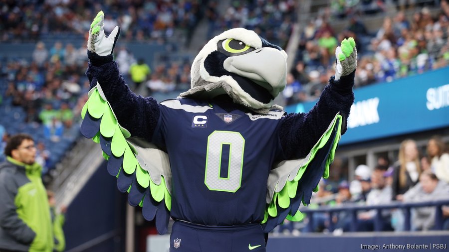 Nfl Seattle Seahawks