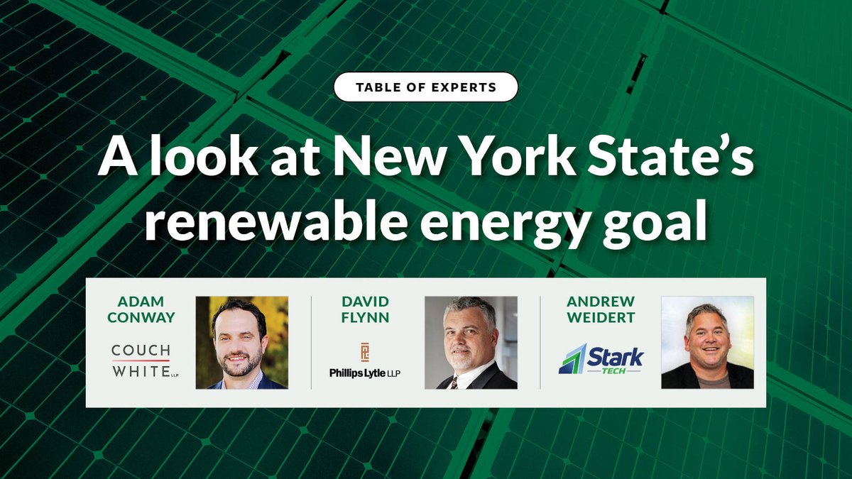 Table of Experts: A look at New York state’s renewable energy goal ...