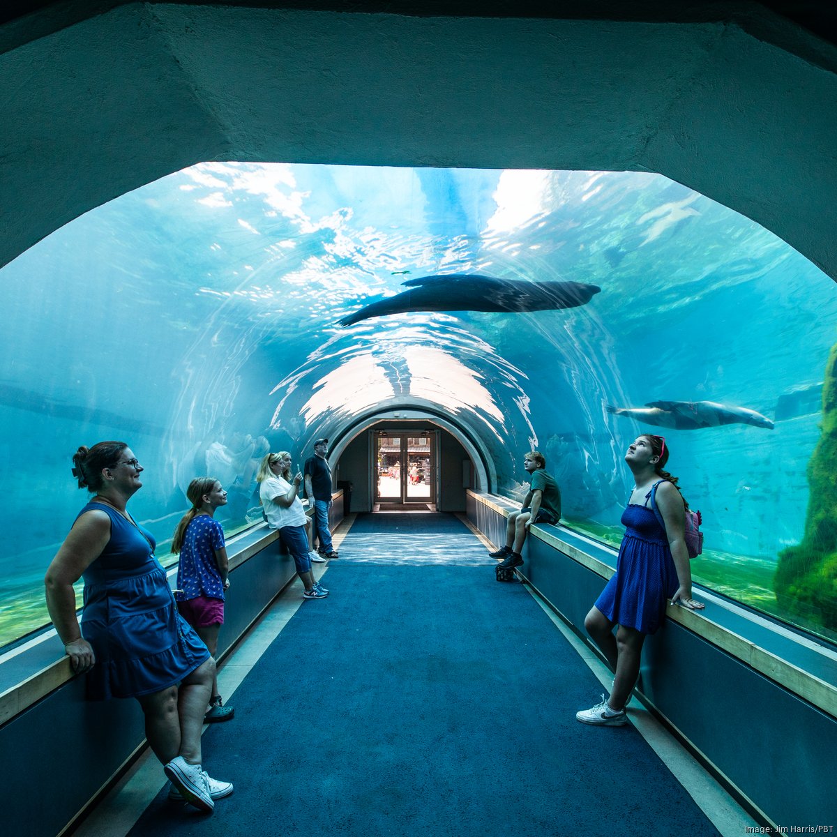 Pittsburgh Zoo And Aquarium Logo The Pitt Alumni Association Is