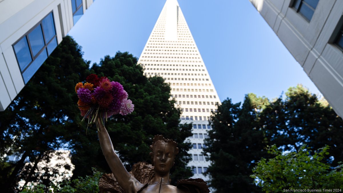 Shvo's Transamerica Pyramid top floors could rent for $300 per square ...