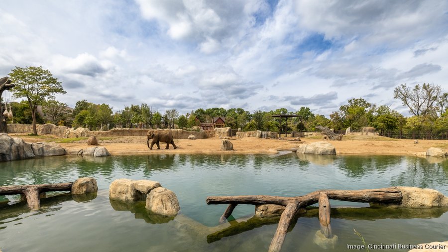 Cincinnati Zoo debuts Elephant Trek exhibit - Cincinnati Business Courier