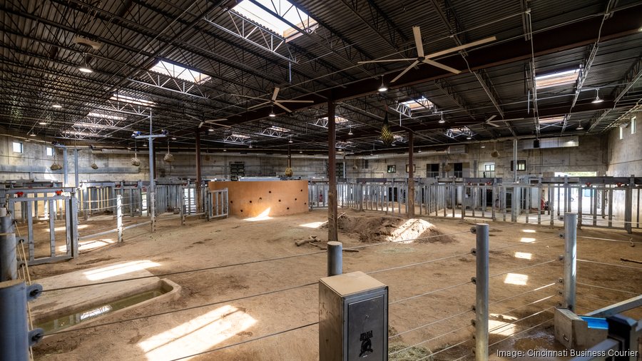 Cincinnati Zoo debuts Elephant Trek exhibit - Cincinnati Business Courier