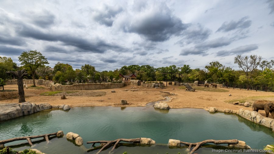 Cincinnati Zoo debuts Elephant Trek exhibit - Cincinnati Business Courier