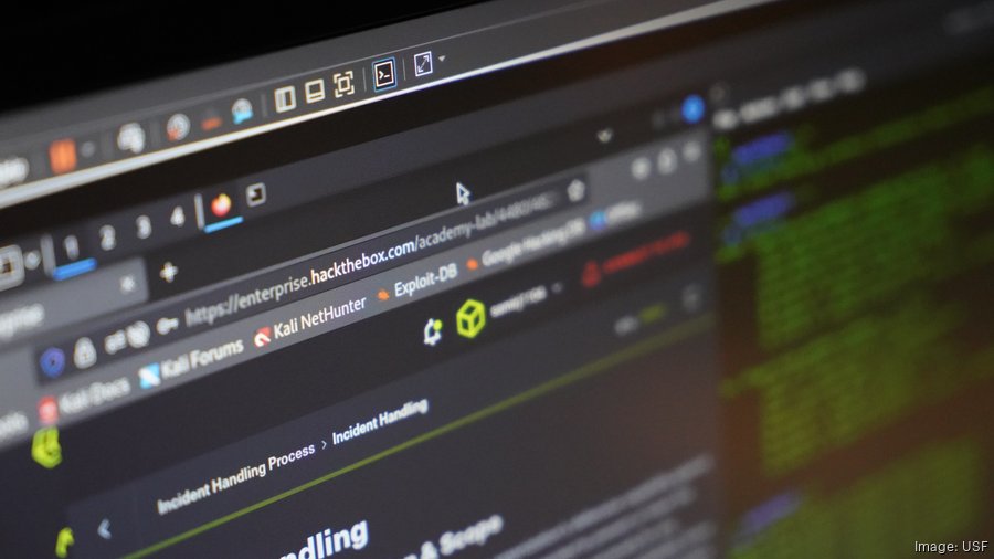 Saint Leo University and USF step up with cybersecurity programs ...