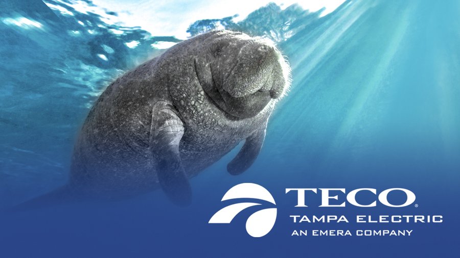 Tampa Electric uses its energy for good — of customers, community and the environment - Tampa ...