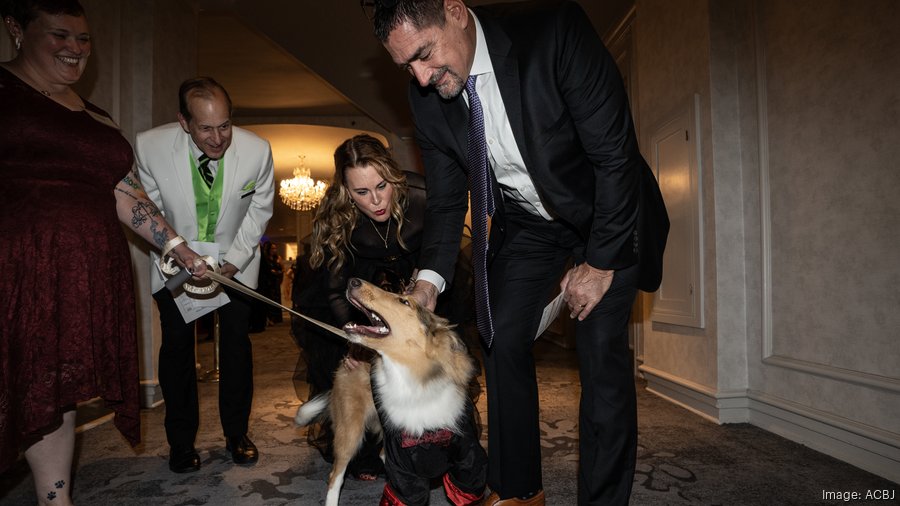 Dogs and cats help raise money for Wisconsin Humane Society at 2024 ...