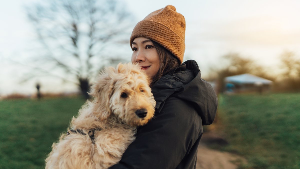 How Purina helps create safe havens for pet-owning domestic violence ...