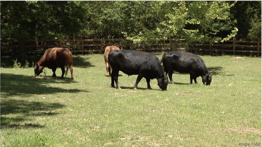 The Gentle Barn to shutter Dittmer location, move animals out of ...