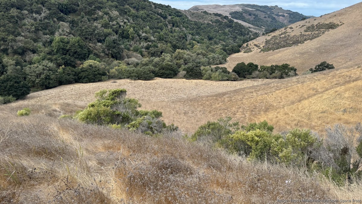 Peninsula Open Space Trust spends $15.65 to acquire 1,340-acre ...