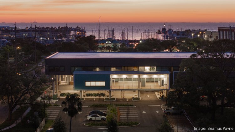 Cathie Wood named board chair at ARK center in Tampa Bay - Tampa Bay ...