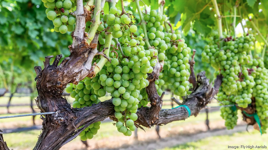 Burlington County winery with 11-bedroom manor lists for $6.5M ...