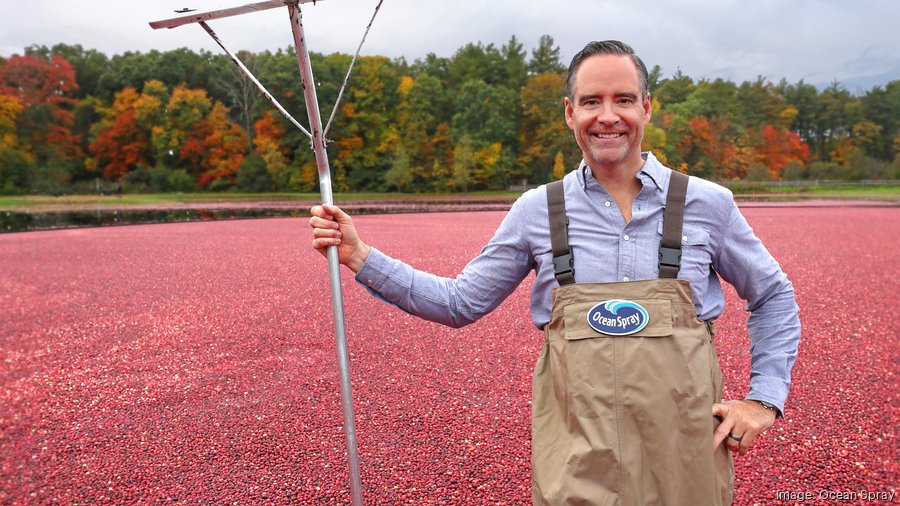 Tom Hayes of Ocean Spray on what’s next for the him and the cranberry ...