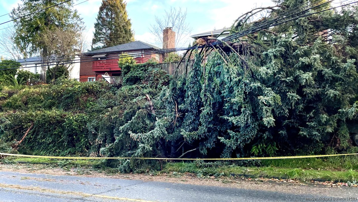 Tax breaks available for some WA properties damaged by bomb cyclone ...