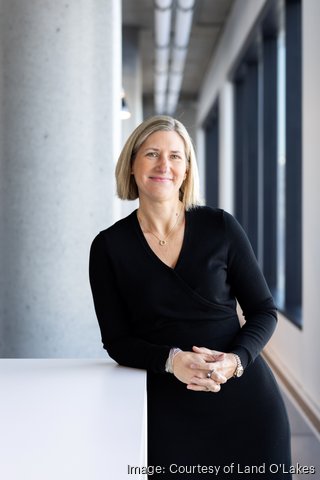 Target, Land O'Lakes execs on Fortune 500 CEO fast track - Minneapolis ...