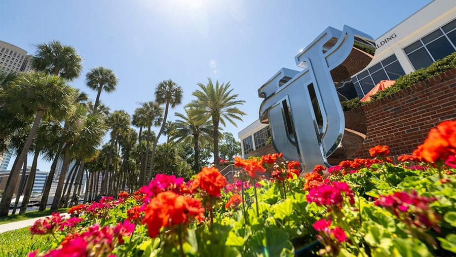 Spotlight on UTampa’s EDBA program: Retired Bank of America’s Bill ...