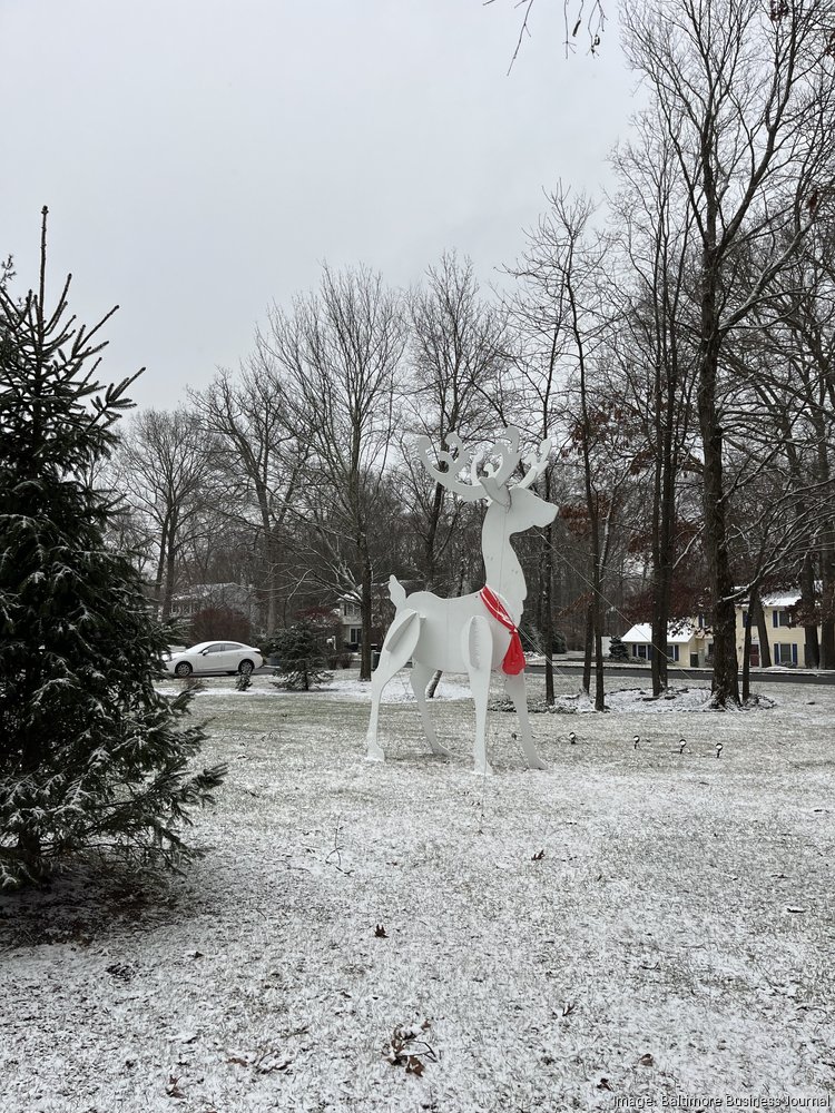 Kneads Bakeshop and Cafe opens at Canton Crossing - Baltimore Business ...