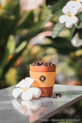 Ando Café opens in Kailua Town - Pacific Business News