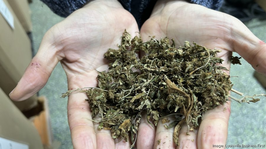 Cornbread Hemp expanding - Louisville Business First