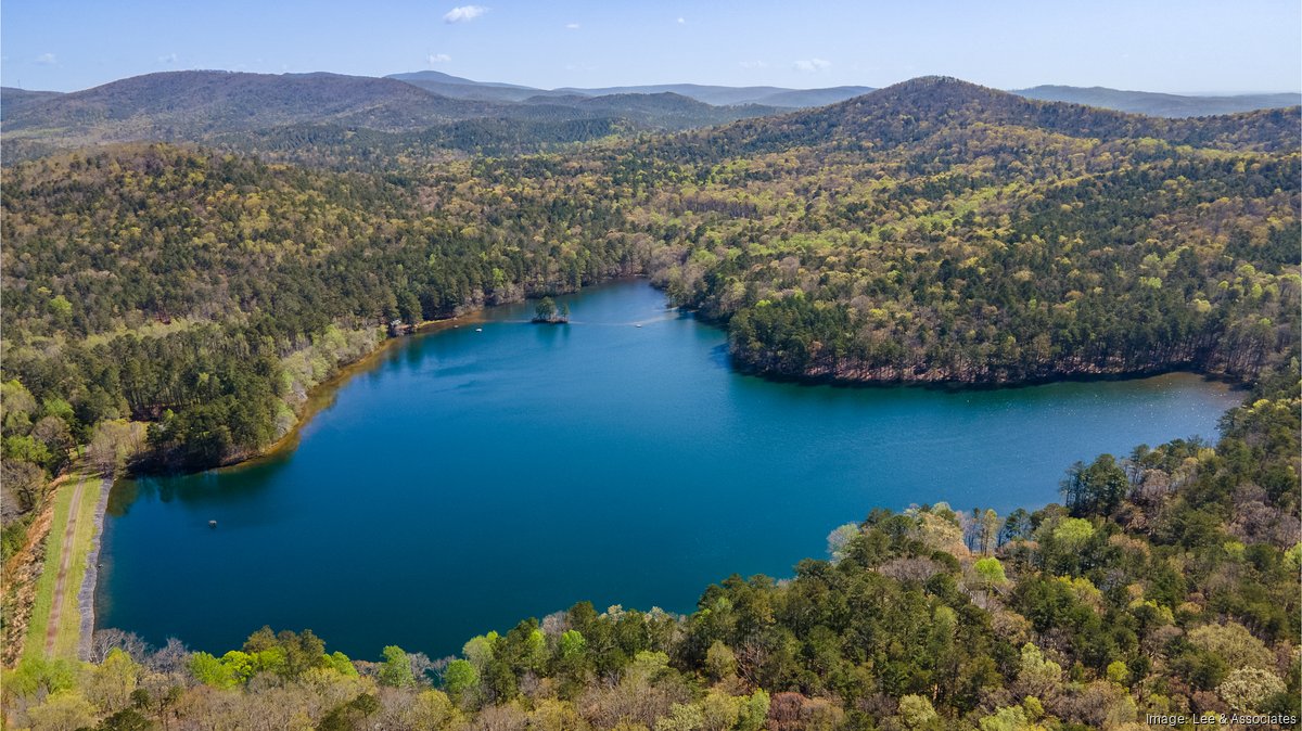 Hines eyes Pine Log WMA for major development in Bartow County ...