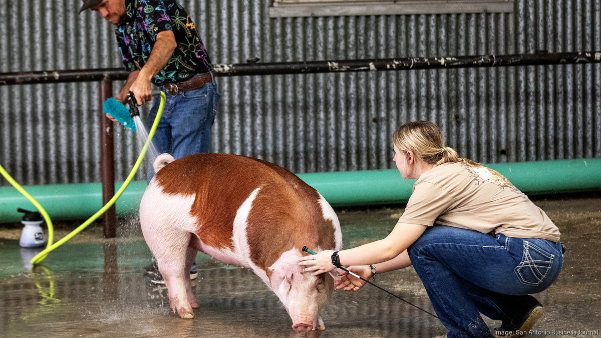 Photographer Gabe Hernadez's 2025 lens on SA's defining events - San ...