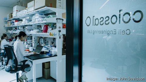 Colossal Biosciences to open new de-extinction lab in Dallas - Dallas ...