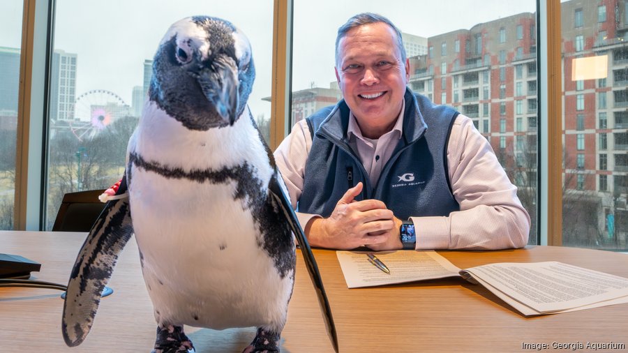 Georgia Aquarium names Travis Burke as president, CEO - Atlanta ...