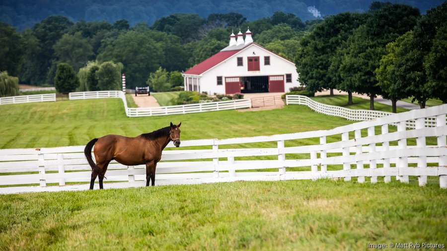 Kevin Plank lists Sagamore Farm in Baltimore County for $22M ...