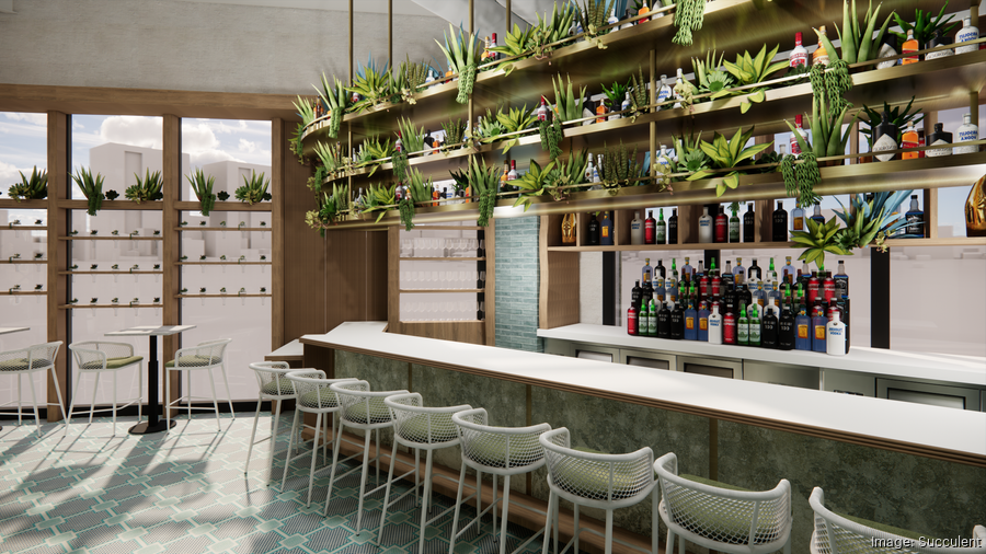 Shawn Virene to open Succulent Fine Dining in Regent Square - Houston ...