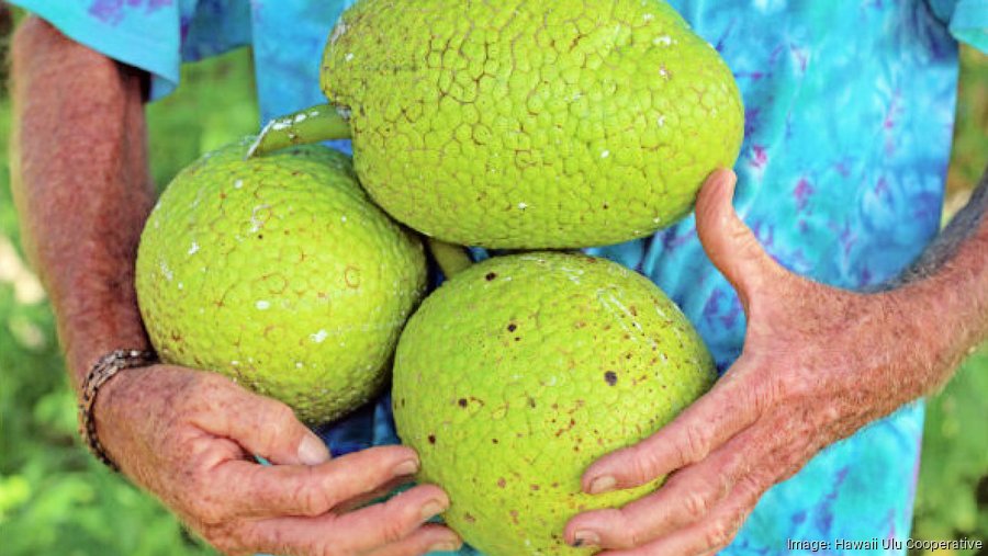 Federal funding cuts put Hawaii’s research future at risk - Pacific Business News