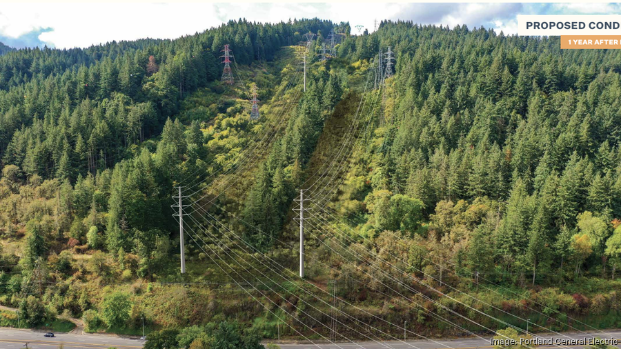 PGE's Forest Park project approved - Portland Business Journal