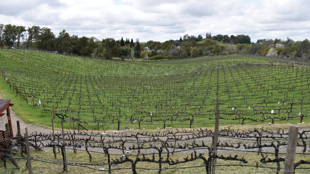 California wine label bill passes committee on 15-0 vote - Sacramento ...