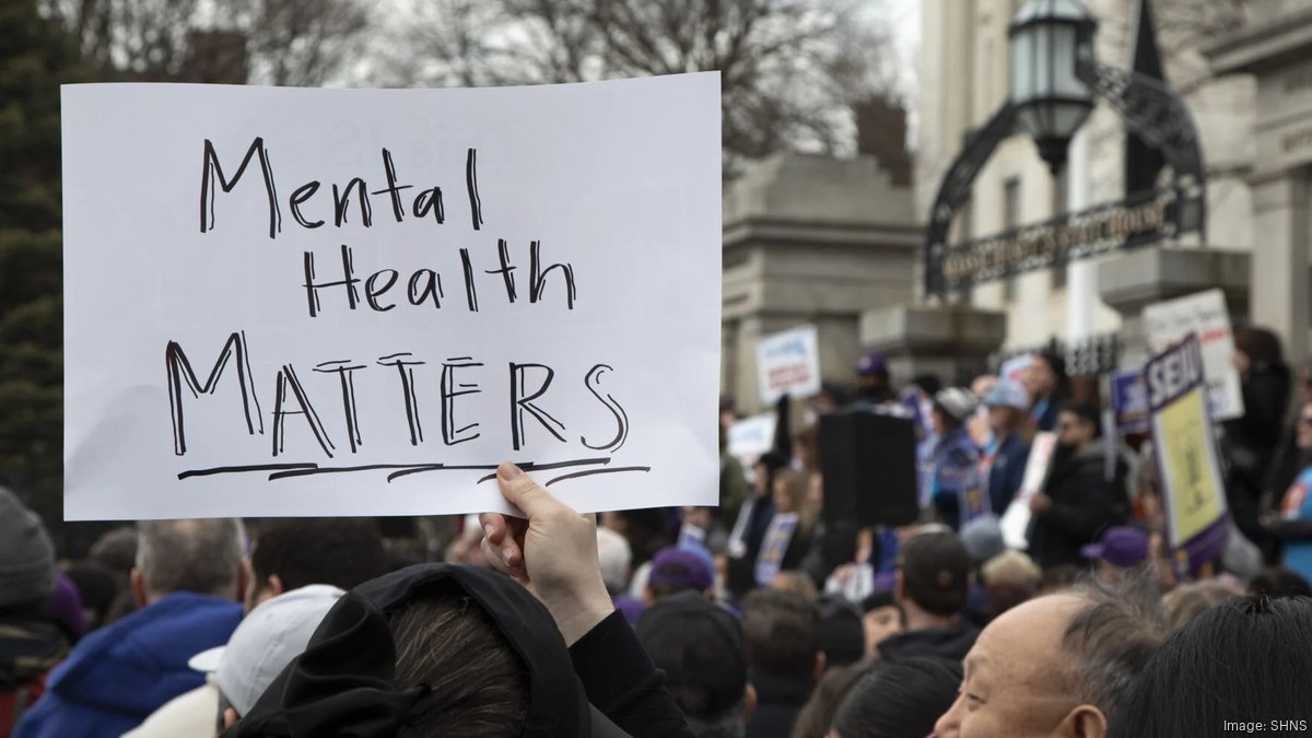 Mass. mental health commissioner Brooke Doyle steps down after tumultuous year - Boston Business ...