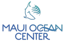 Maui Ocean Center BizSpotlight - Pacific Business News