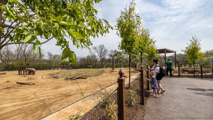 Cincinnati Zoo finishes $60M Elephant Trek with gibbons, otters ...