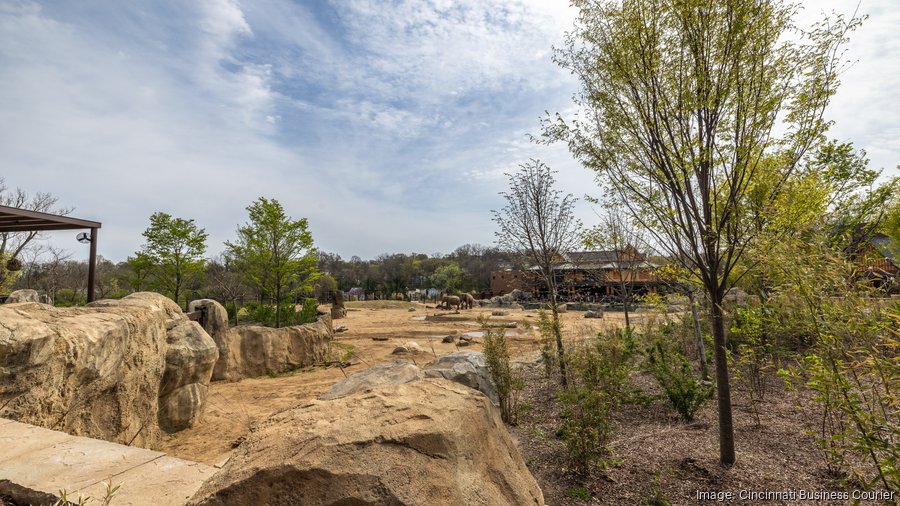 Cincinnati Zoo finishes $60M Elephant Trek with gibbons, otters ...