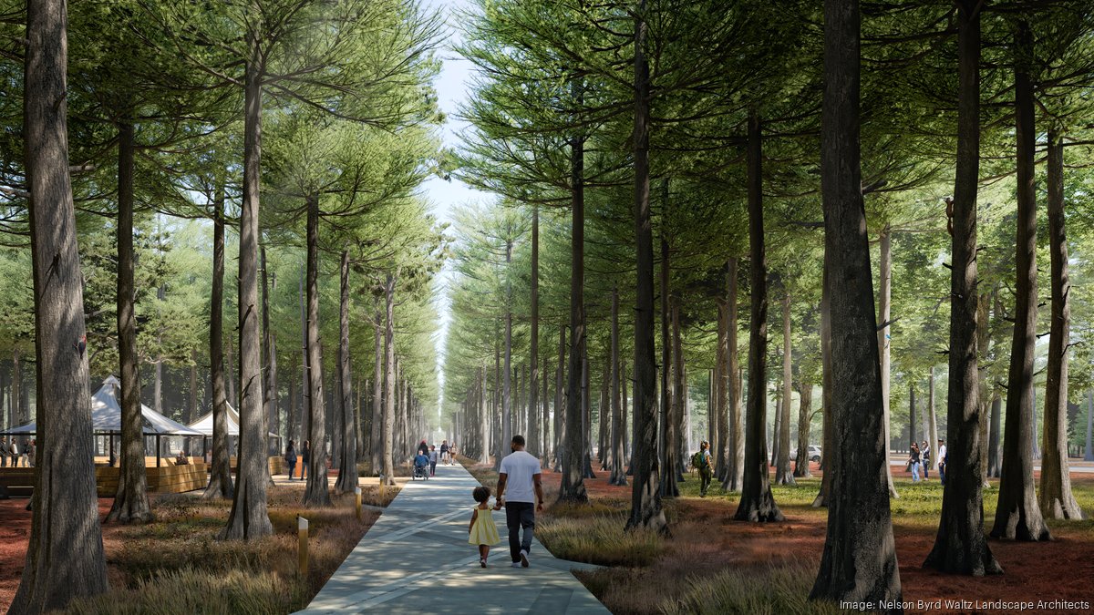 Memorial Park's new 2,000-tree grove to honor World War I roots ...