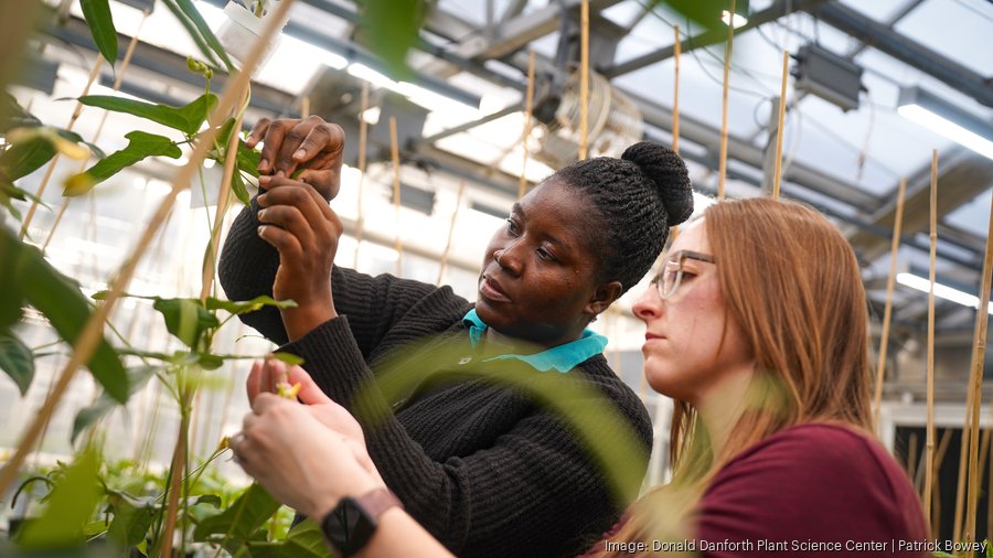 Danforth Plant Science Center faces $7.7M in federal funding cuts - St ...