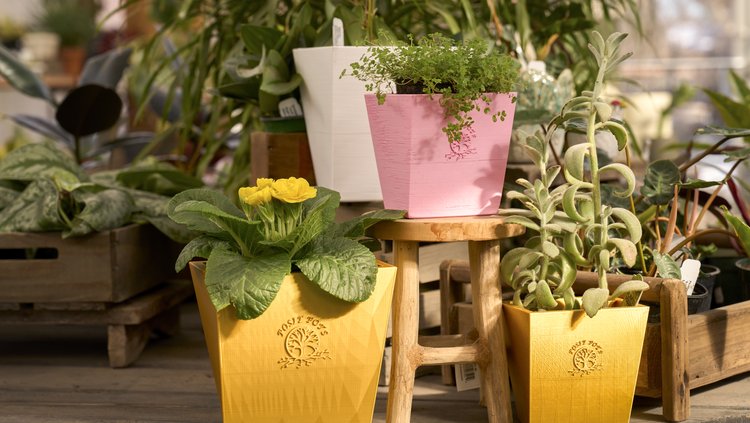 How Posie Pots founder Kay Wells makes plant care easier with 3D ...