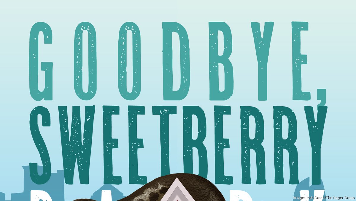 Atlanta journalist Josh Green pens comedic gentrification novel ...