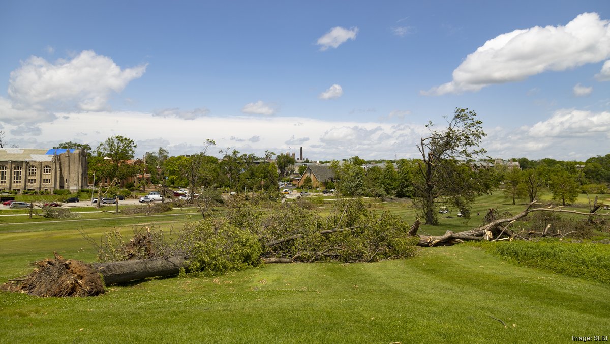 Tornado impact on Forest Park: Thousands of trees affected - St. Louis ...