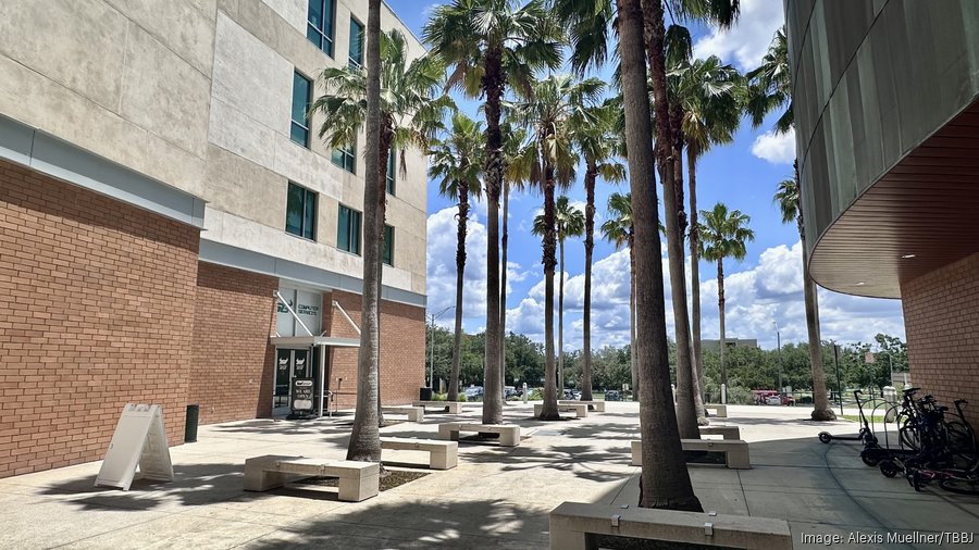 USF expands architecture program amid Tampa Bay construction boom ...