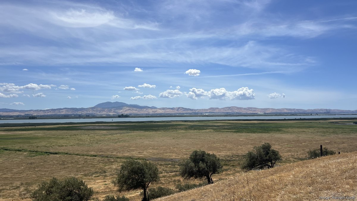 California Forever's Jan Sramek eyes shipbuilding as job creator for ...