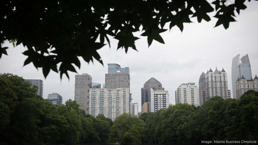 Atlanta City Council advances rewrite of tree protection ordinance ...